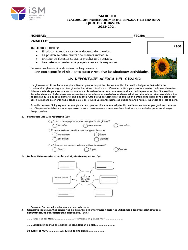 Evaluación Trimestre 1 LENGUA Y LITERATURA | PDF | Numero Gramatical ...