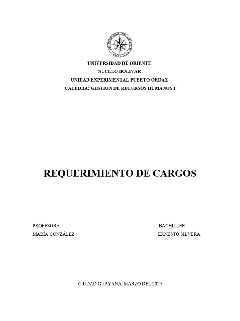 Requerimiento de Cargos | PDF | Gestión de recursos humanos | Business