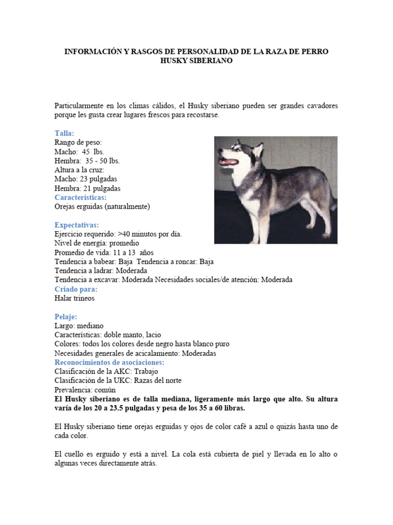 INFORMACIÓN Y RASGOS DE PERSONALIDAD DE LA RAZA DE PERRO HUSKY ...