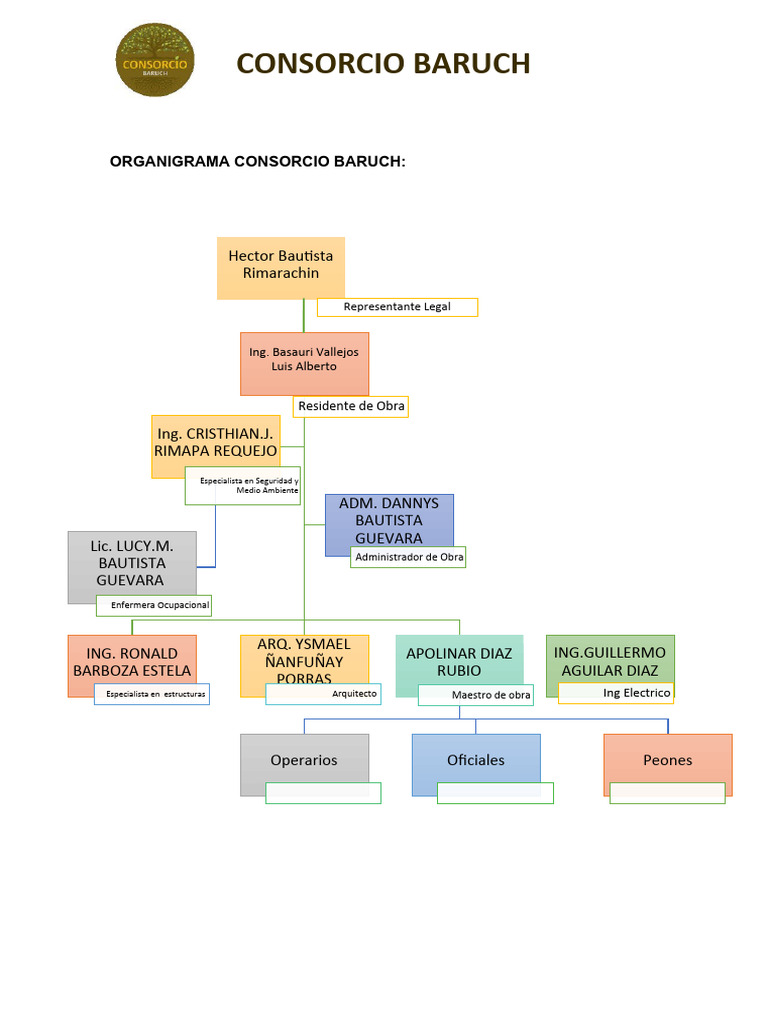 Organigrama Consorcio Baruch | PDF