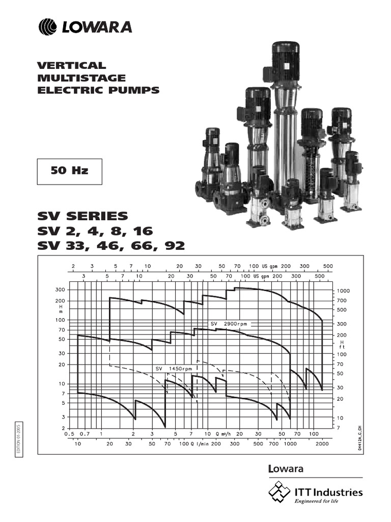 Lowara Pump | PDF | Pump | Electric Motor
