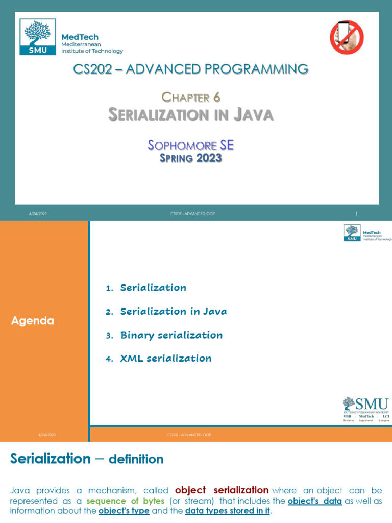CS202 - Chapter 6 - Serialization | PDF