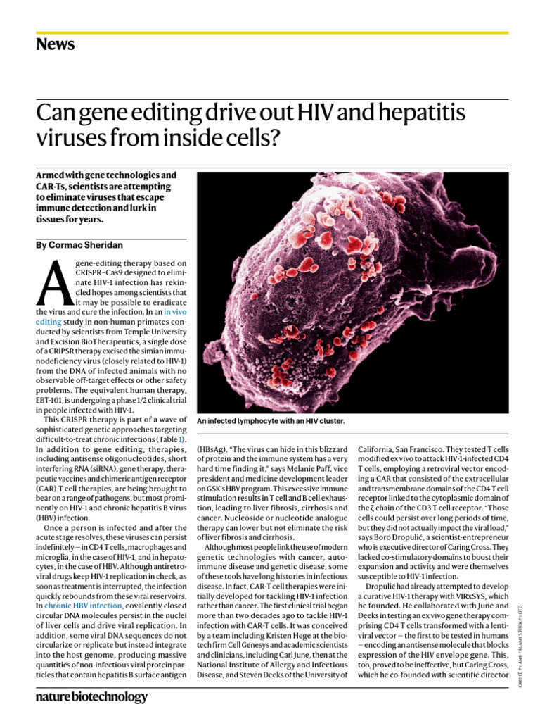 Nature - Can Gene Editing Cure HIV or Hep B | PDF | Hiv | Virus