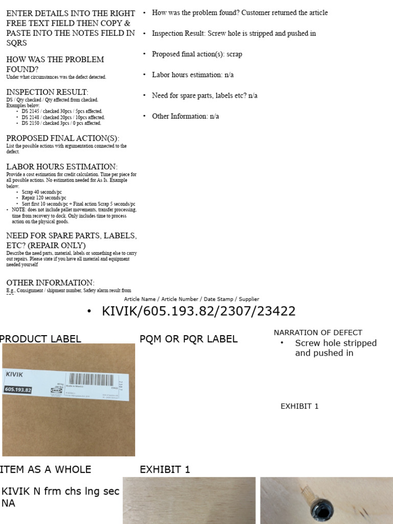 SQR Template Kiv | PDF | Business | Business Process