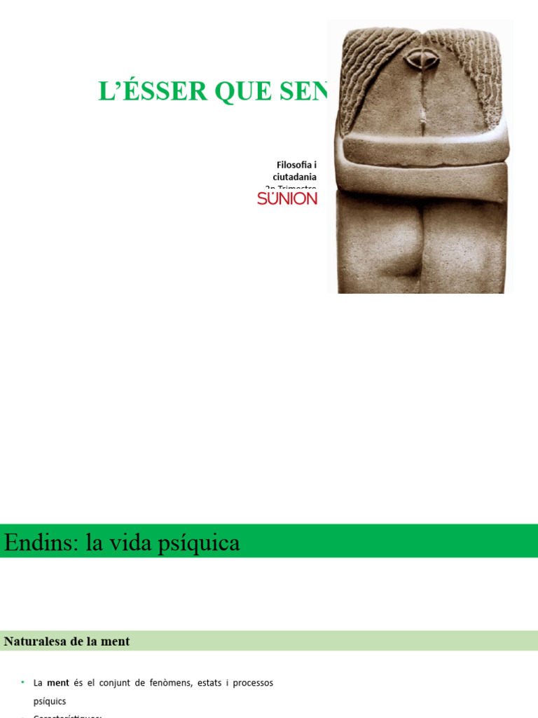 LÃ©sser Que Sent 2020 | PDF