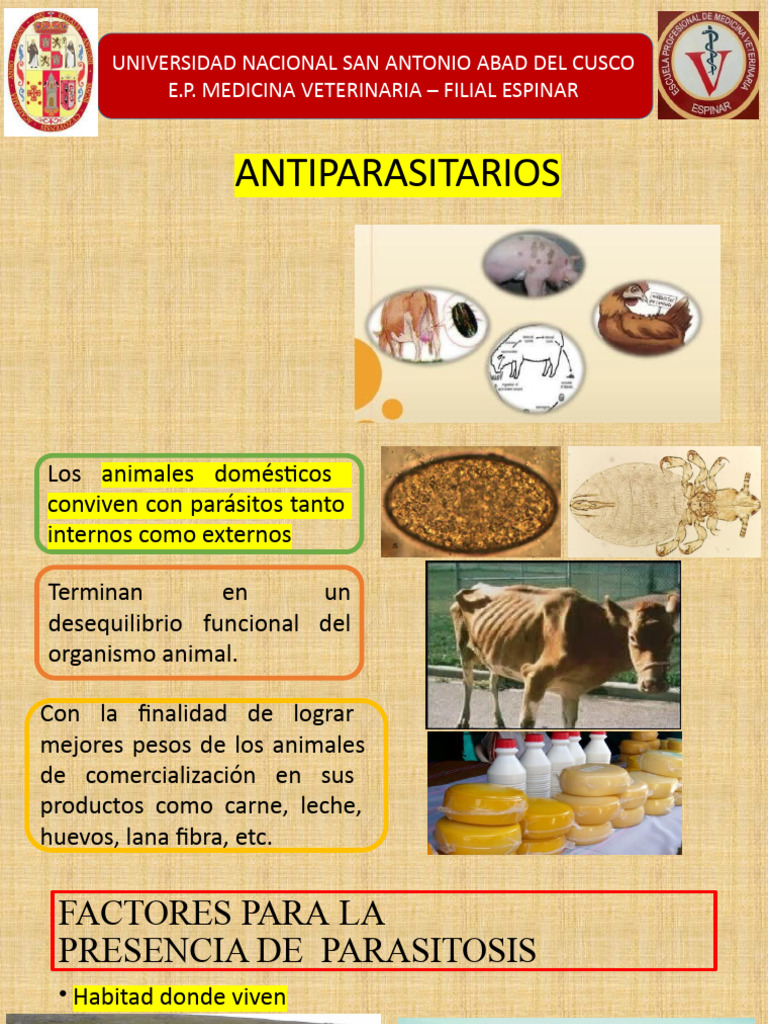 ANTIPARASITARIOS (1) [Autoguardado] | PDF | Biotransformación | Farmacocinética