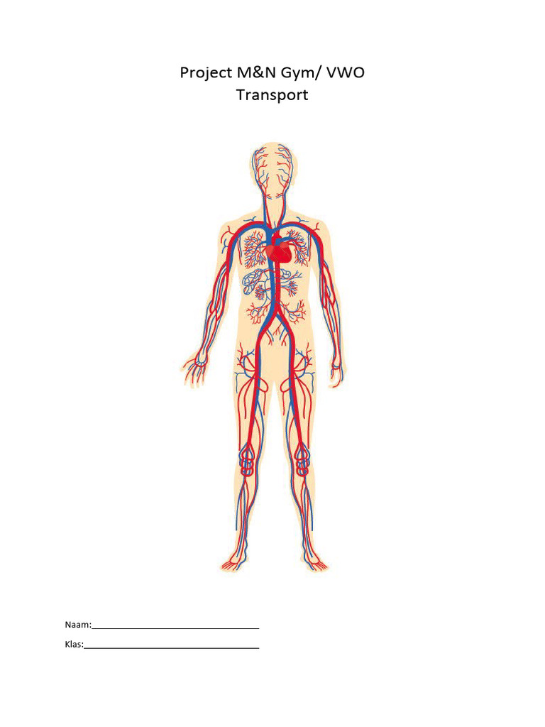 Project Transport | PDF