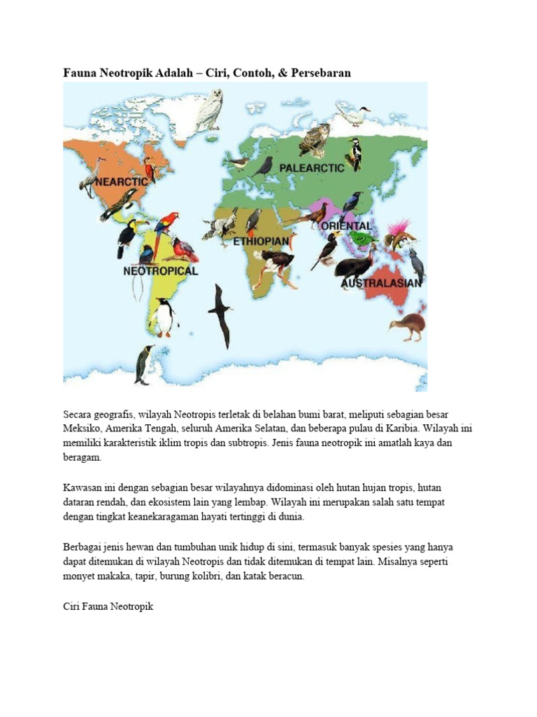 Fauna Neotropik Adalah | PDF