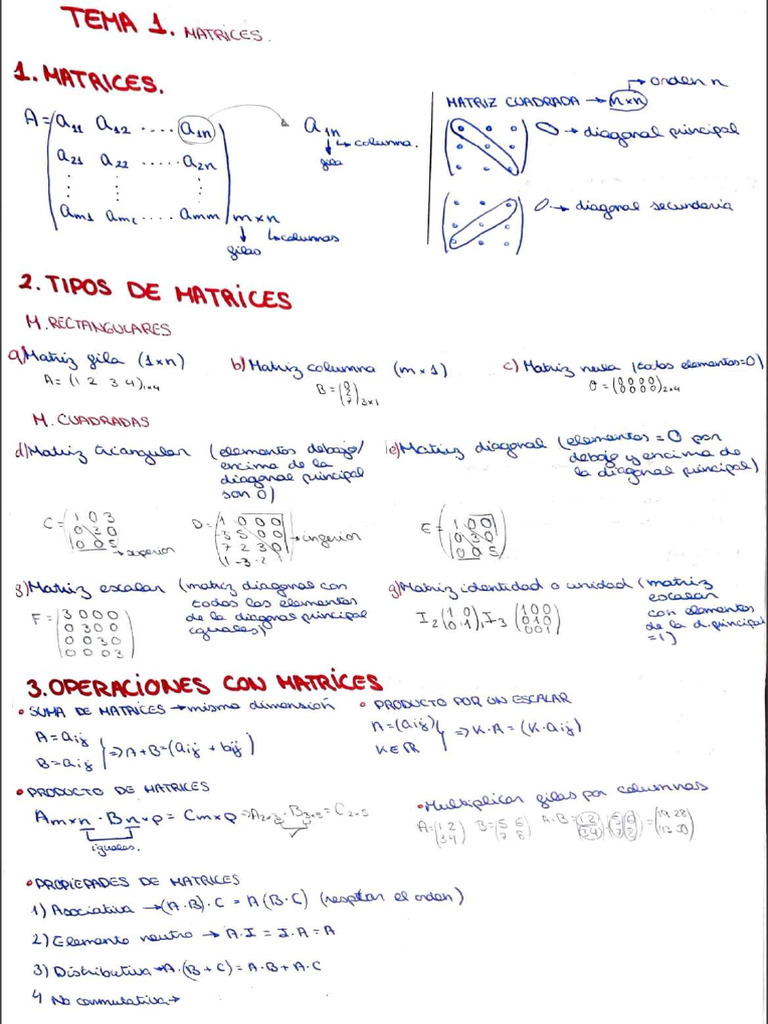 Matrices.t1 Mate | PDF