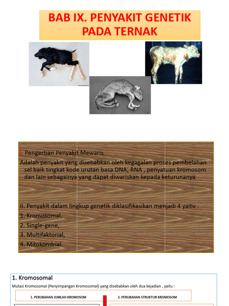 Jenis Penyakit Genetik pada Ternak | PDF | Sains & Matematika