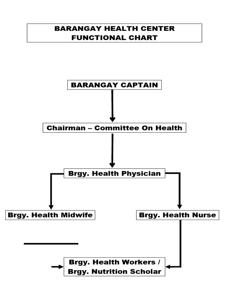Barangay Health Center Organizational Chart | PDF