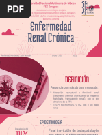 Fármacos Nefrotóxicos y su Manejo | PDF | Tratamientos médicos | Medicina