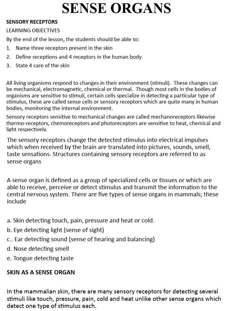Sense Organs | PDF | Ear | Senses