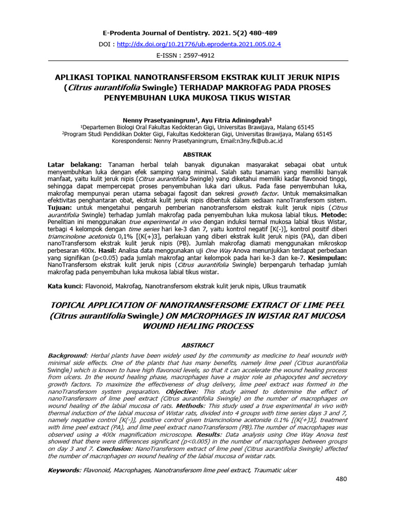 Admin, 176 FIX LAYOUT | PDF | Pengembangan Diri | Kesehatan Holistik