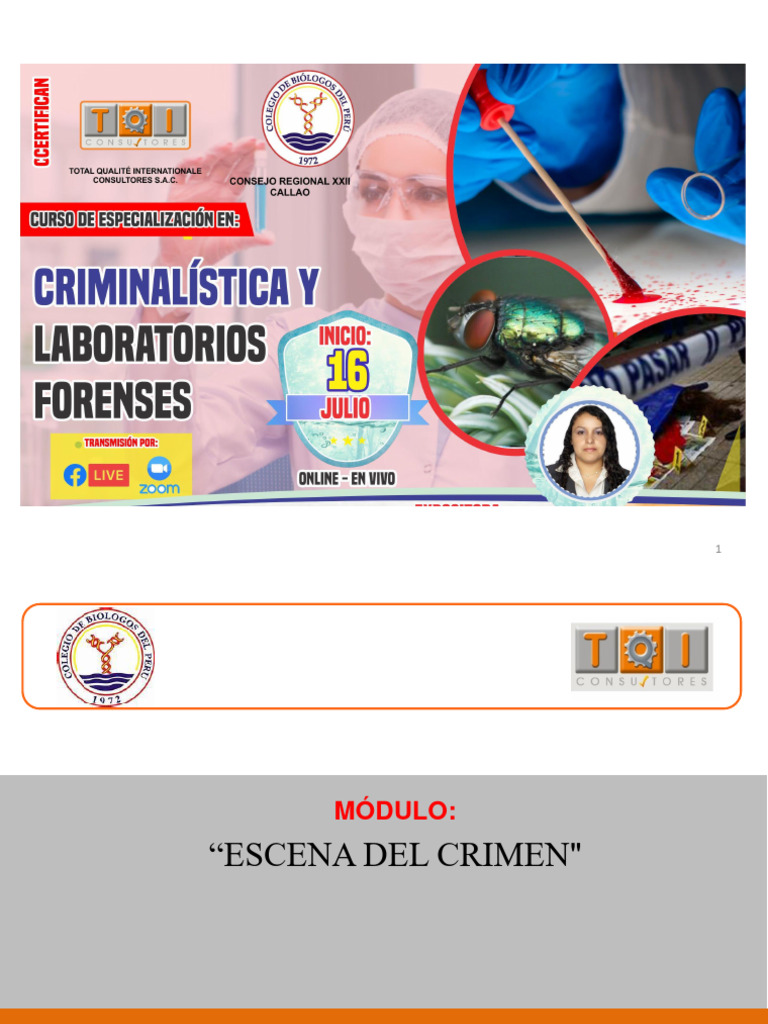 Clase de Escena Del Crimen | PDF | Ciencia forense | Justicia penal