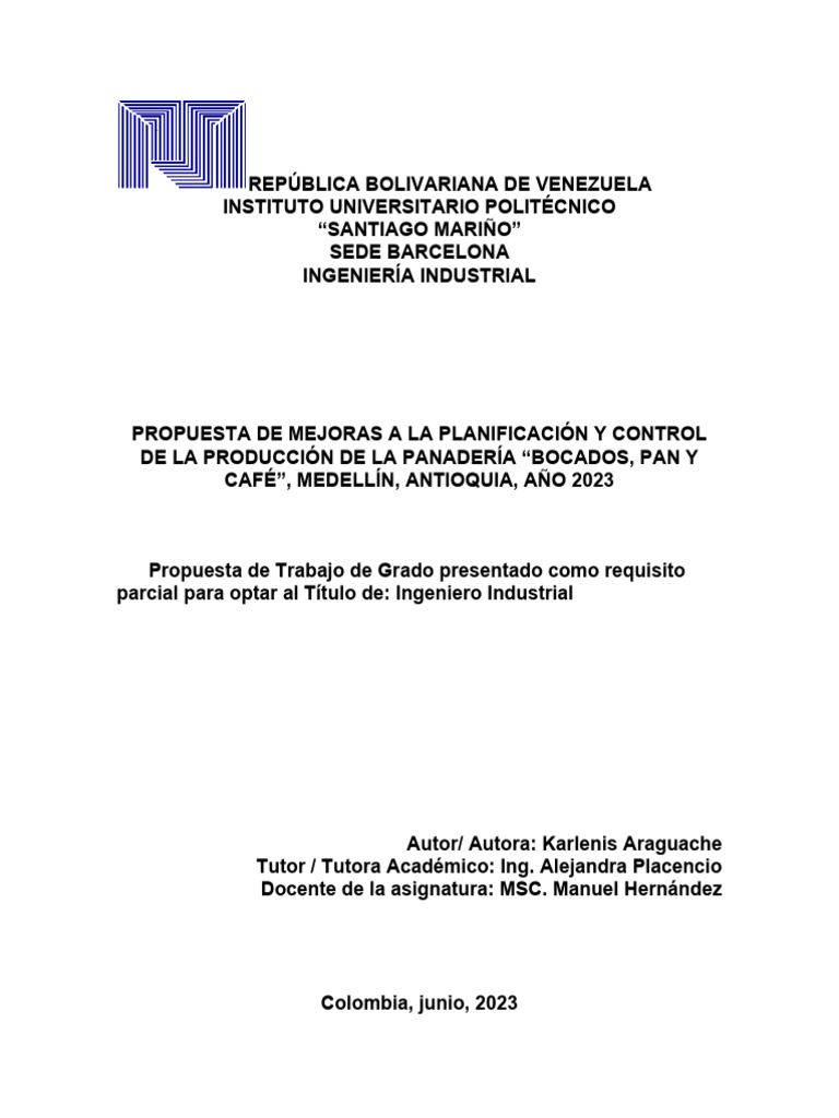 Capitulo I (2) Final | PDF | Planificación | Business