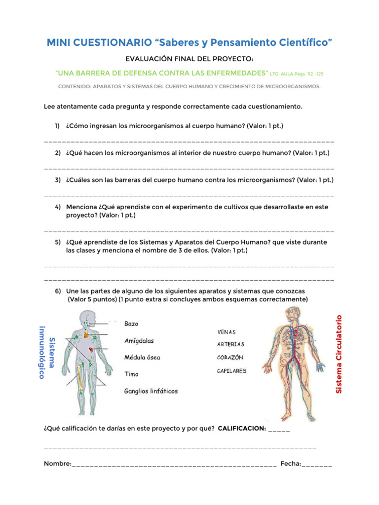 Mini Cuestionario Saberes Proyecto 1 2do. Trim 6D | PDF