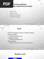 Using - Dentition To Age Cattle | PDF | Tooth | Dentistry