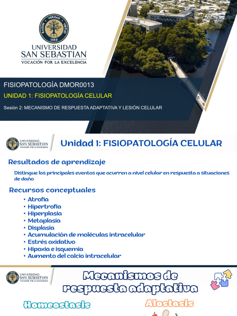 Cinemática Guia | PDF | Isquemia | Atrofia