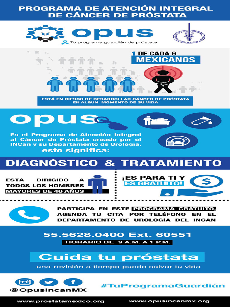 Infografia Opus | PDF