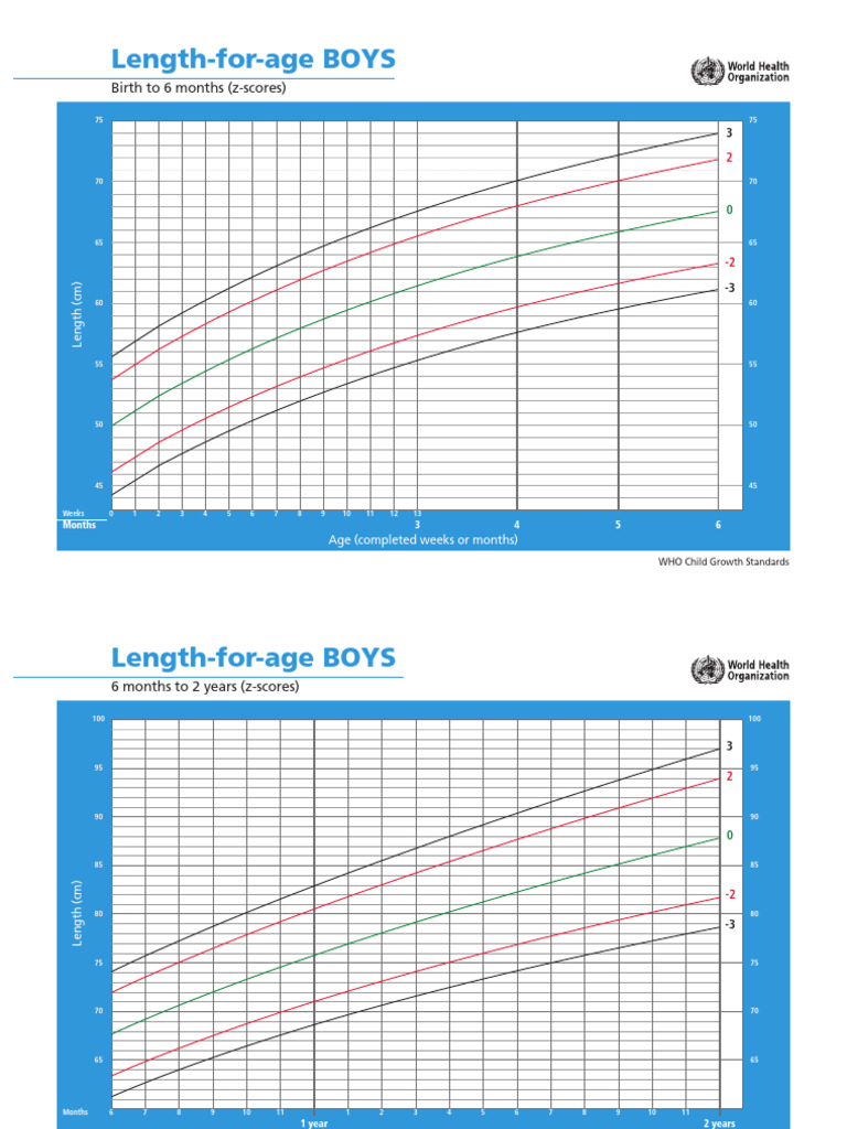 Full Chart | PDF | Human Size | Human Body Weight