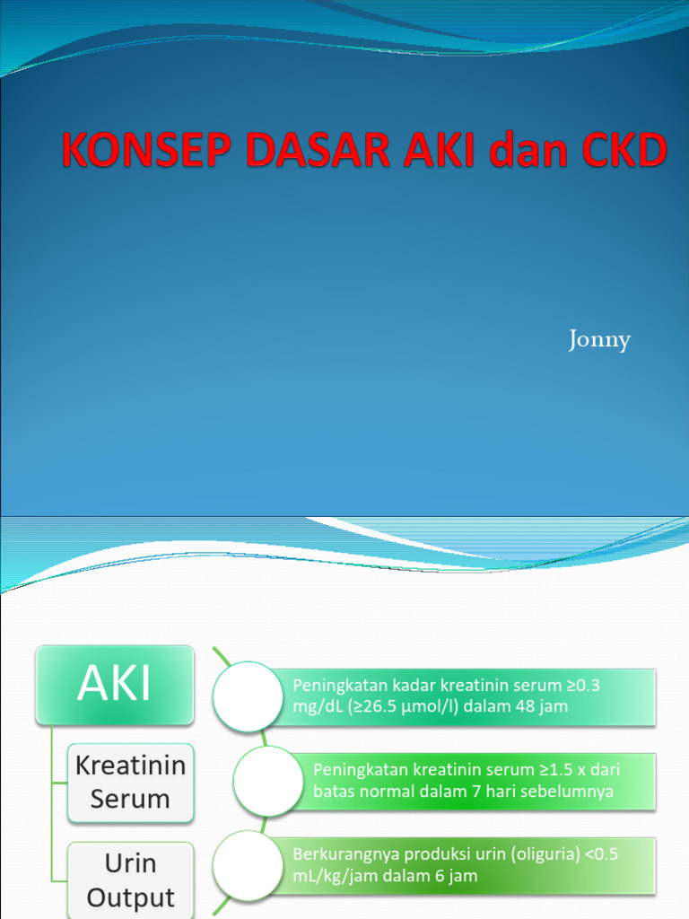 Konsep Dasar AKI Dan CKD | PDF