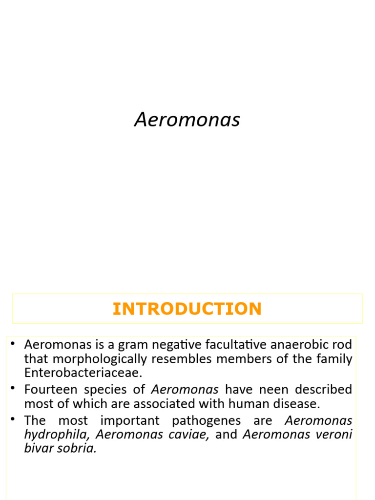Aeromonas Class | PDF | Infection | Growth Medium