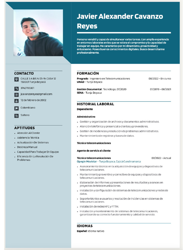 Alexander Cavanzo CV | PDF