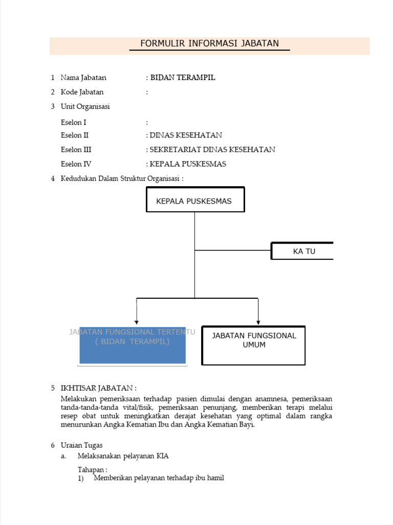 Anjab Bidan Terampil | PDF
