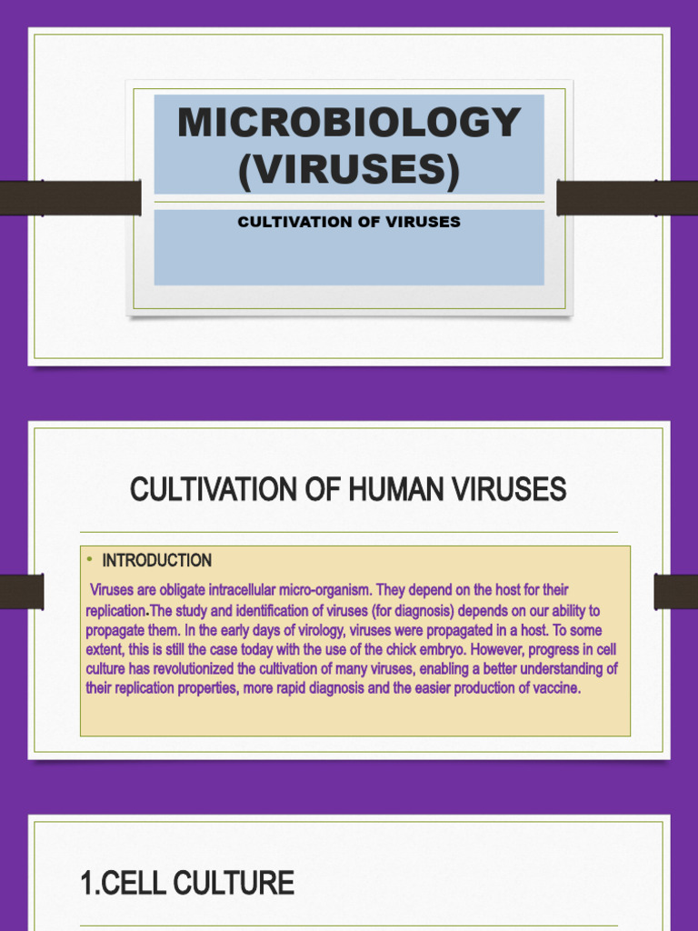 Cultivation of Viruses-1 | PDF | Cell Culture | Virus