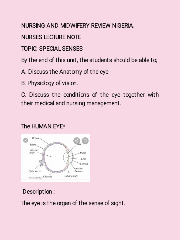 The Eye | PDF
