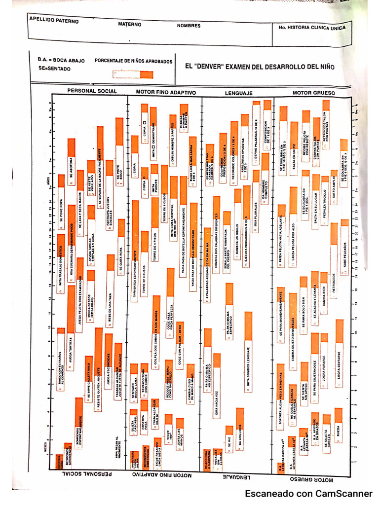 Test Denver Hoja | PDF