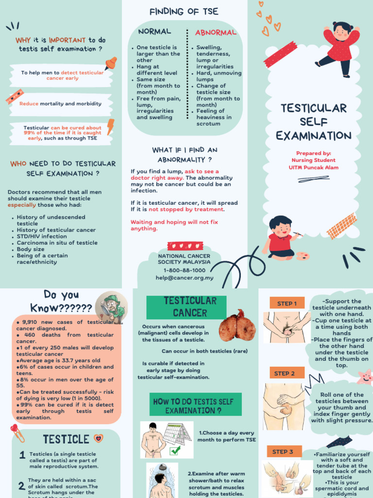 Pamphlet Tse | PDF | Testicle | Cancer