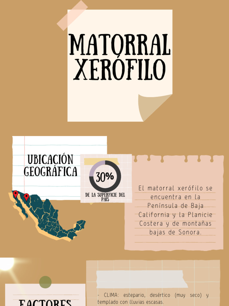 Matorral Xerófilo | PDF