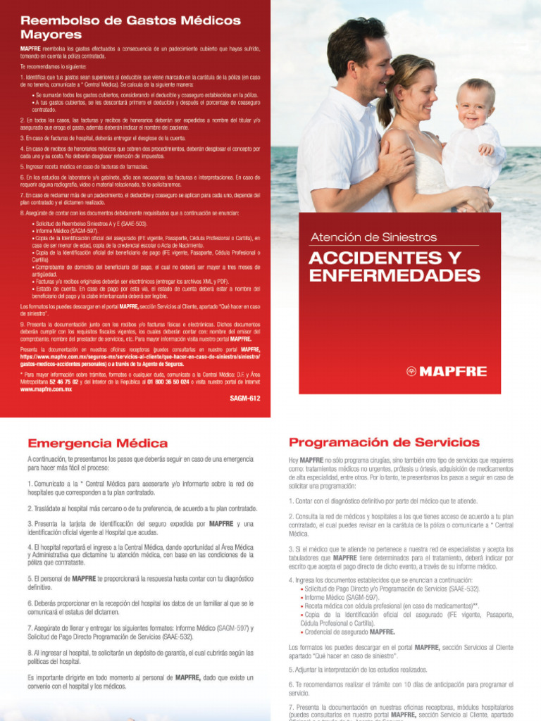 Guia Ingreso Tramites Aye | PDF