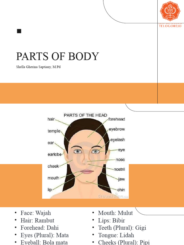 3rd Meeting - Part of Body | PDF