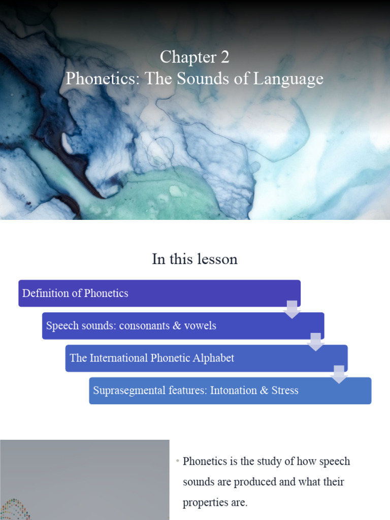 Chapter 2 Phonetics | PDF | Vowel | Phonetics