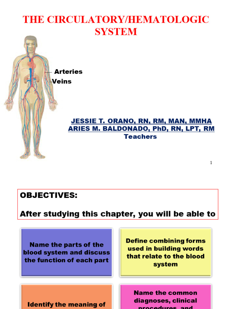 BIO1 Circulatory and Hematologic System 3 | PDF | Self-Improvement ...