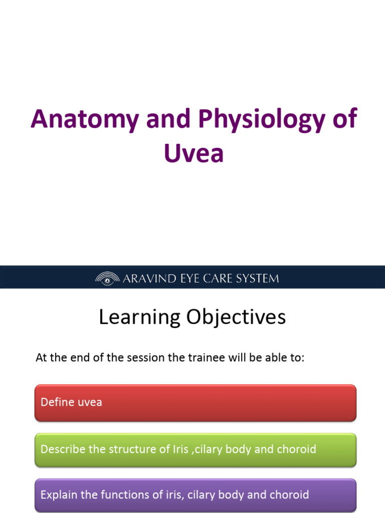 Uvea Anatomy & Physiology Guide | PDF | Foreign Language Studies ...