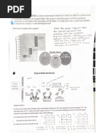 Incomplete & Codominance Practice Problems (2025) | PDF | Dominance ...