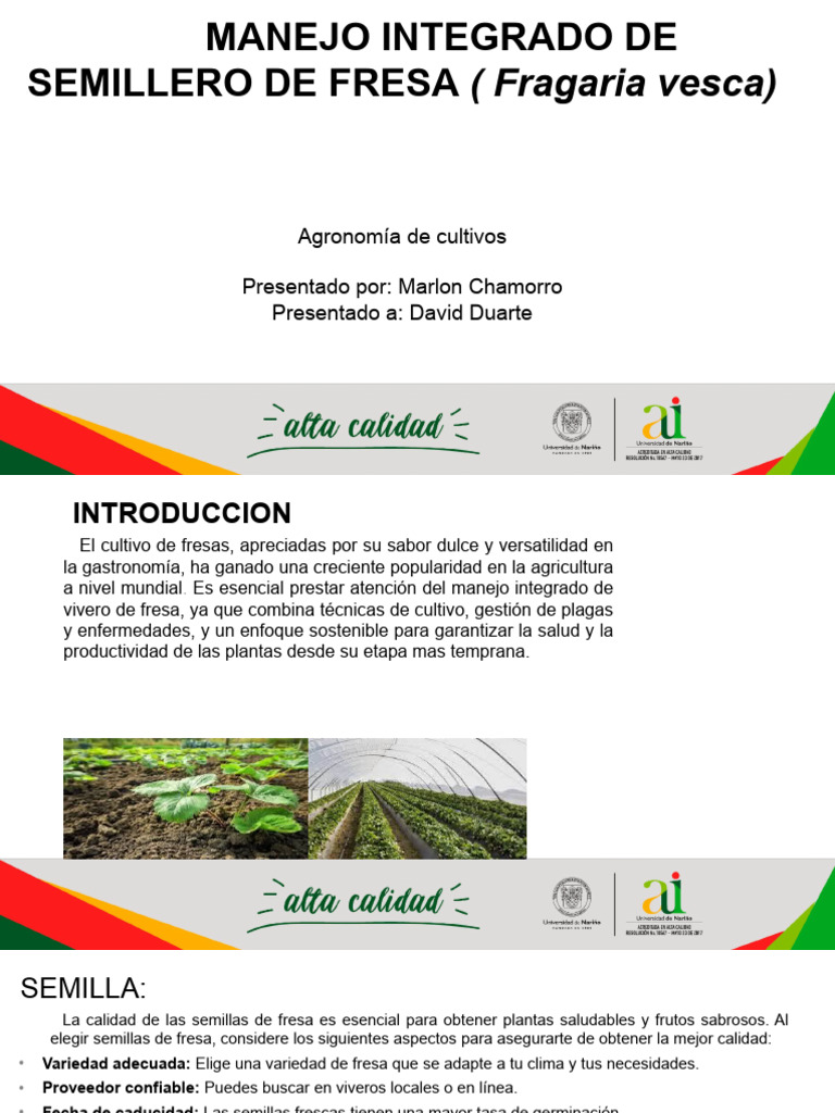 Fresa | PDF | fresa | Riego