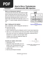 Safe Intragluteal Injection Guide | PDF | Injection (Medicine ...