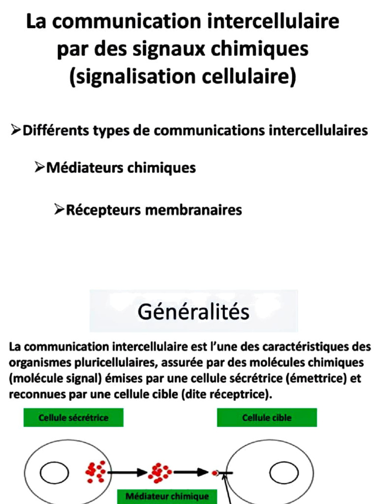 Les 4 Modes de Communication Entre Cellules | PDF
