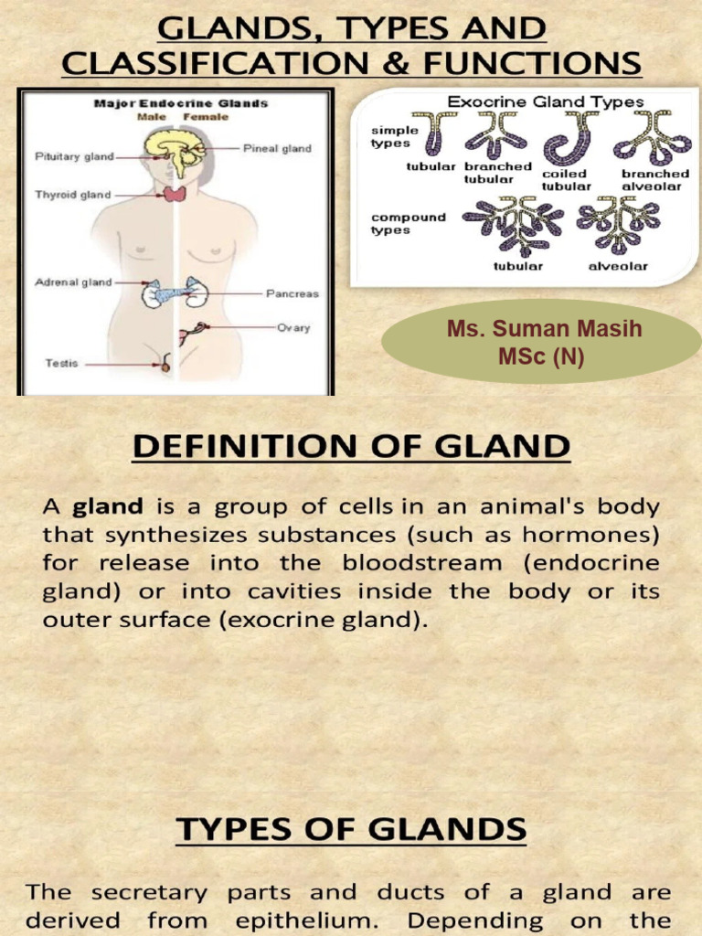 Glands Types & Classification | PDF Glands Types & Classification | PDF