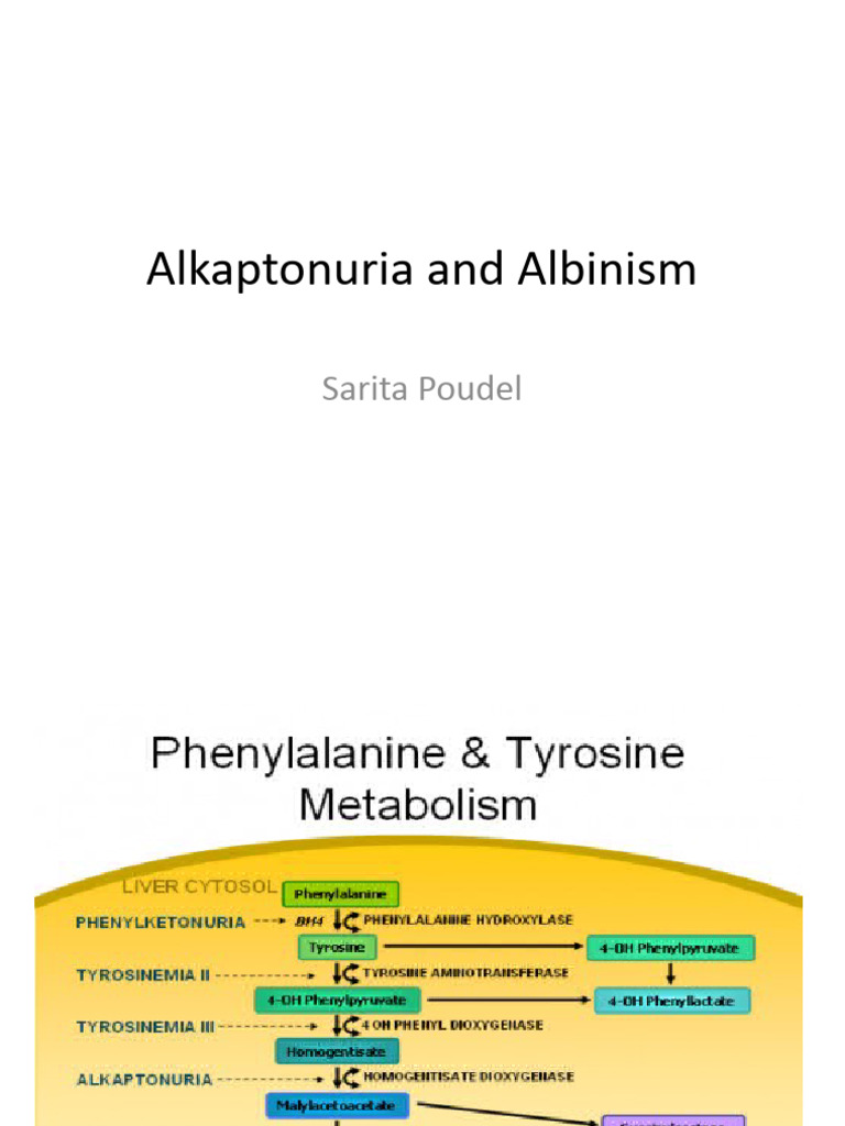 Alkaptonuria and Albinism | PDF | Clinical Medicine | Diseases And ...
