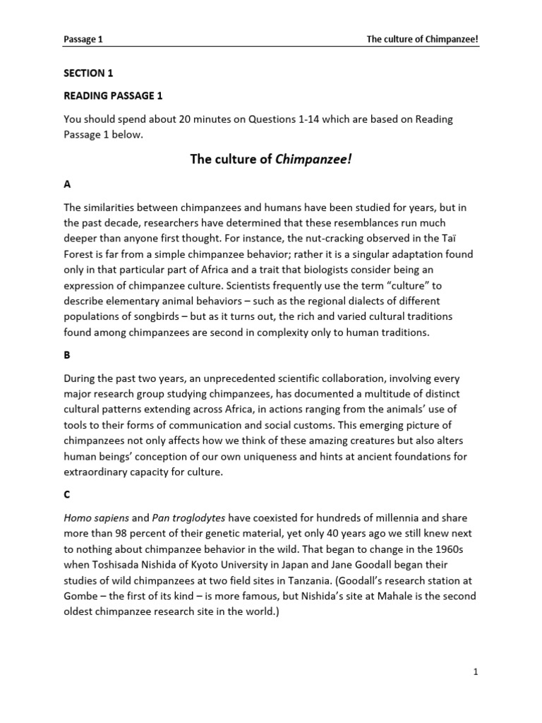 43 Passage 1 - The Culture of Chimpanzee Q1-14 | PDF | Chimpanzee | Human