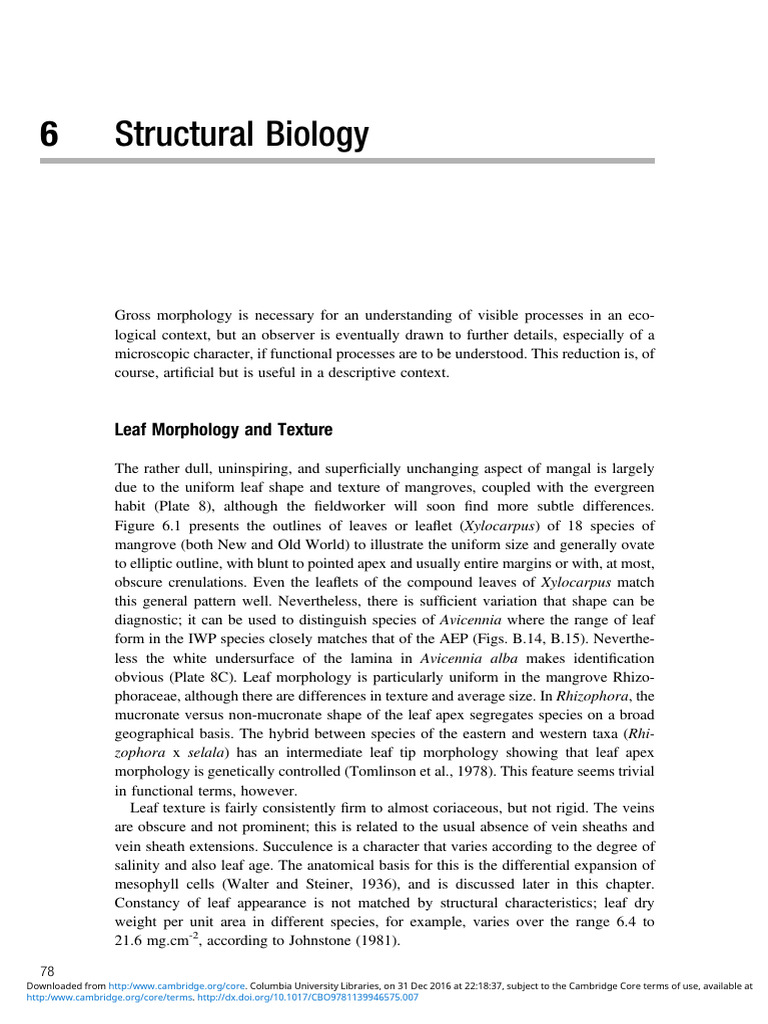 Mangrove Leaf Morphology and Anatomy | PDF | Leaf | Tissue (Biology)