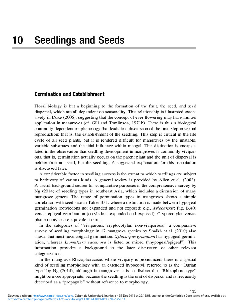 Seedling and Seeds of Mangrove | PDF | Seed | Embryo