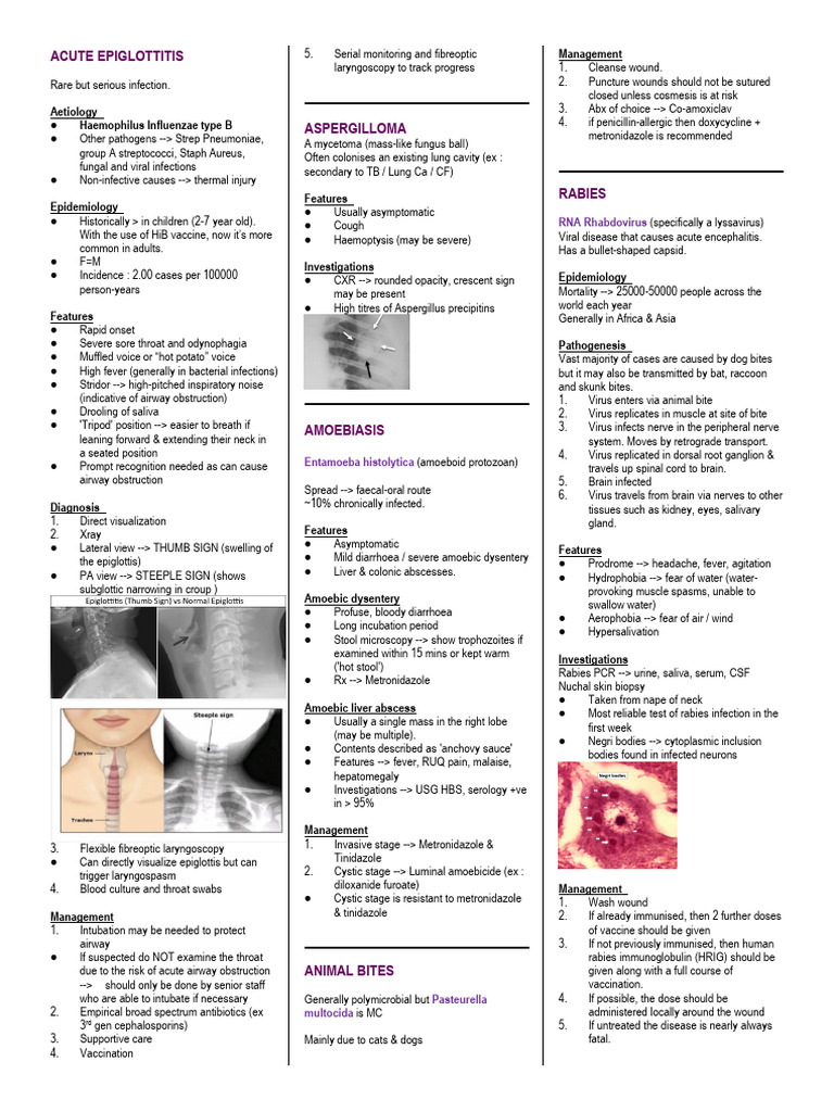 Infectious Disease Notes | Download Free PDF | Medical Specialties ...