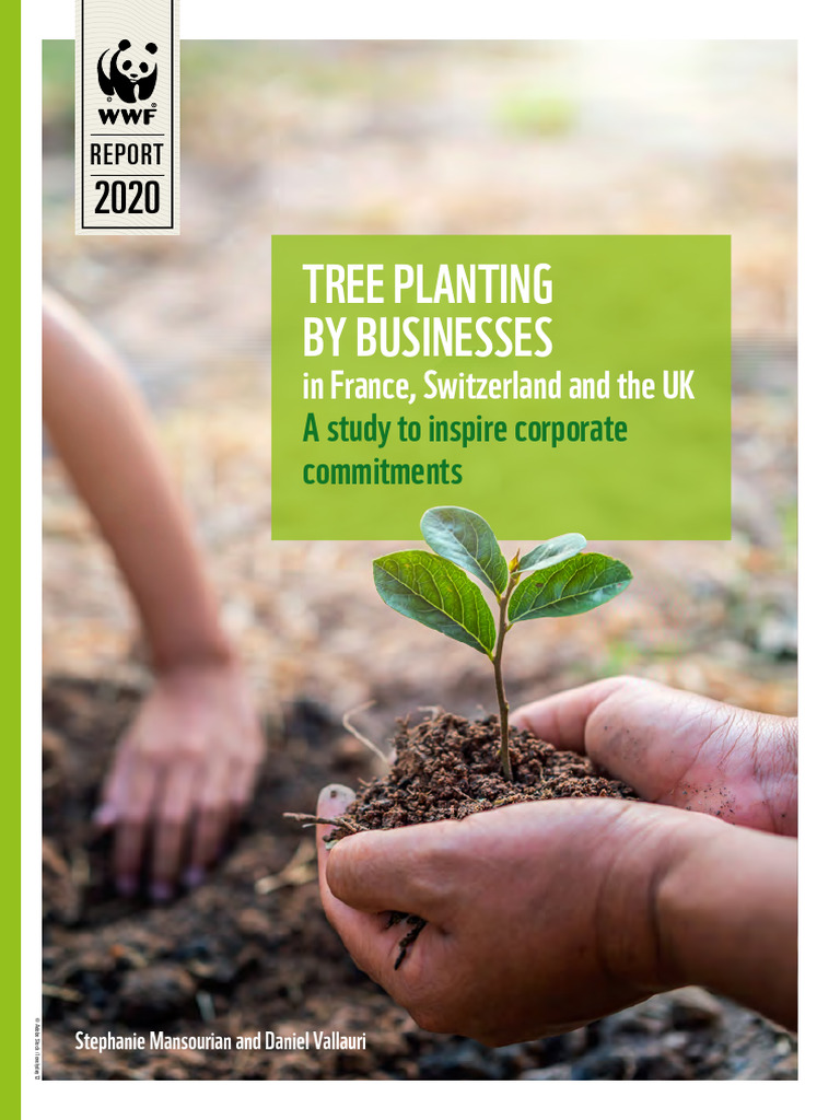 Tree Planting by Businesses | PDF | Carbon Offset | Sustainability
